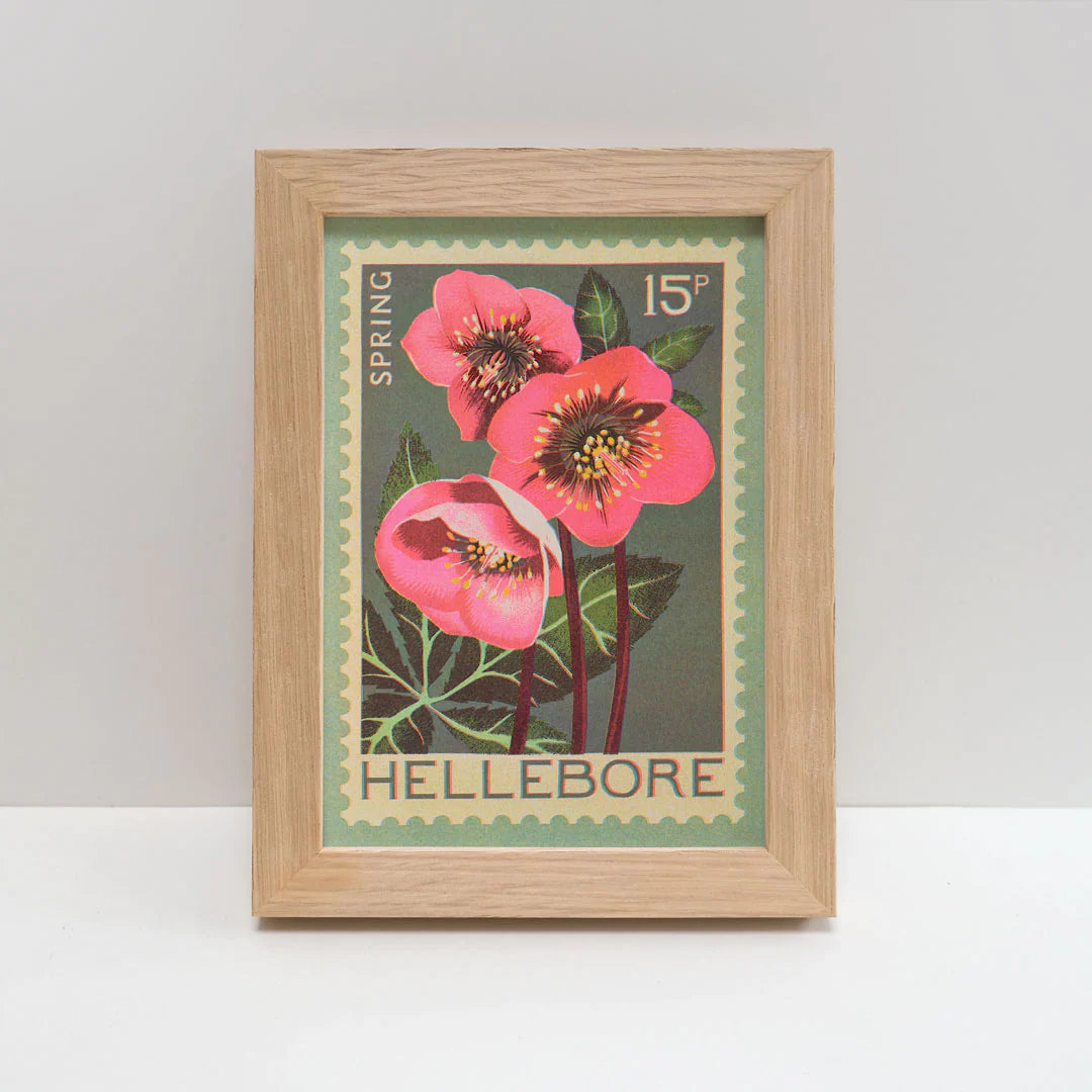 Hellebore Stamp - A5 Risograph Print, $11.51