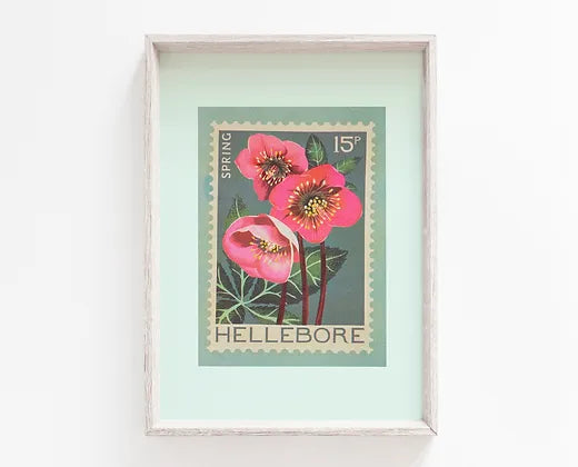 Hellebore Stamp - A5 Risograph Print, $10.75